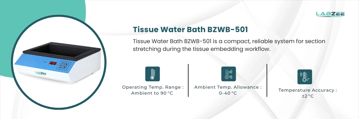Tissue Water Bath BZWB-501 | Lab Tissue Water Bath Manufacturer